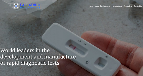 Palladium Diagnostics - Internet Solutions Web Design